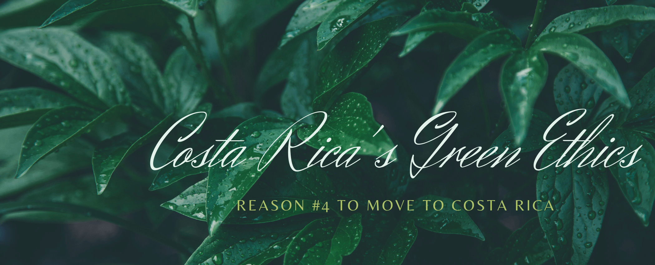 The Ethics Of Costa Rica Reason 4 To Move To Costa Rica