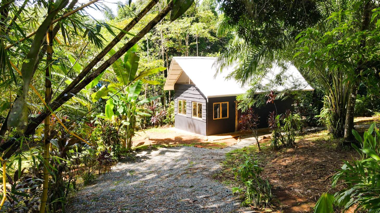 Luxurious Private Rainforest Estate on Acreage with Creek