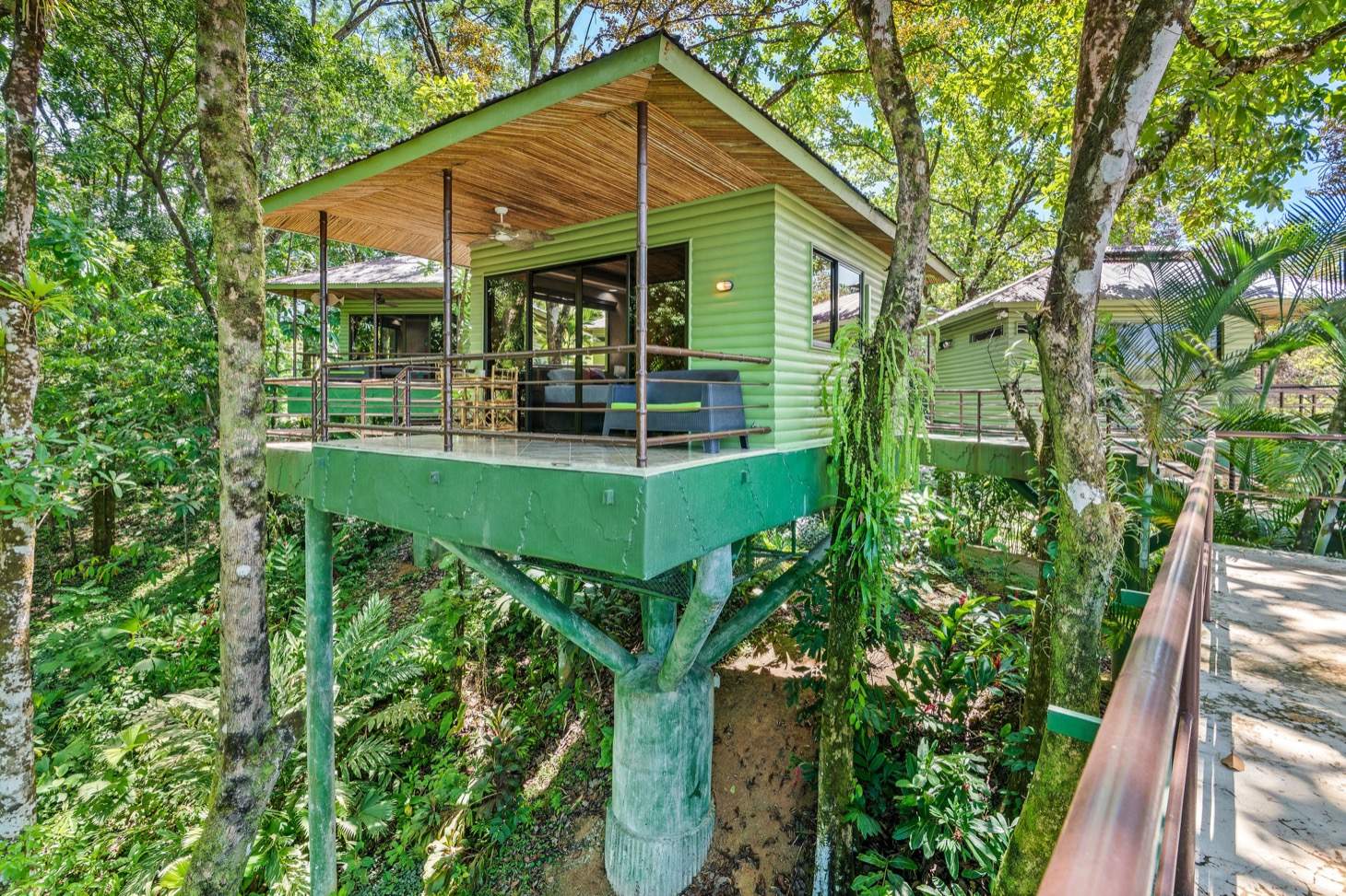 Owners Home And 6 Beautiful Tree House Villas With Room To Expand!
