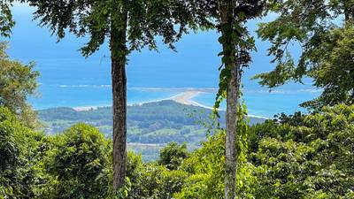 Osa Tropical Properties