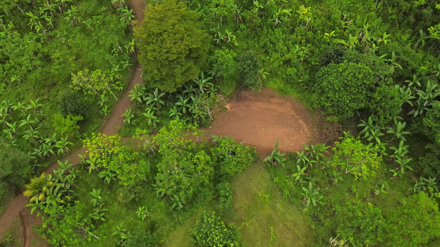 Mountain View Land with Several Building Sites and Mature Fruit Trees