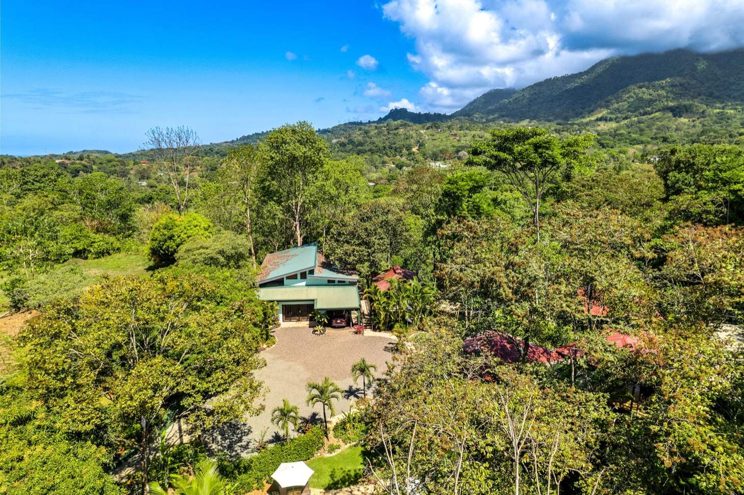 6 Beautiful Tree House Villas and Owners Home on Calle Toucan