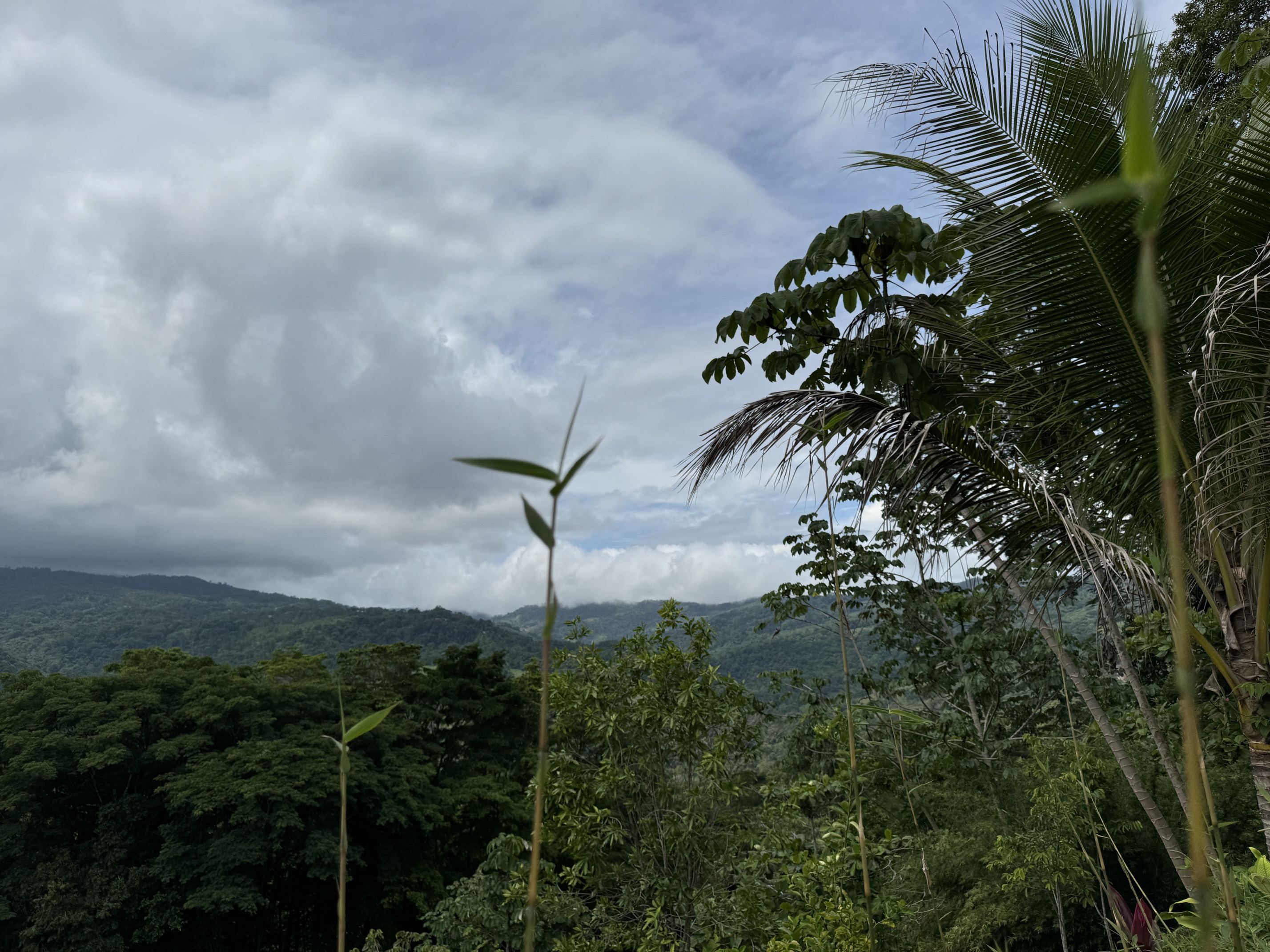 1.11 Acres with Sunrise and Sunset Views, Legal AYA Water, and Fruit Trees